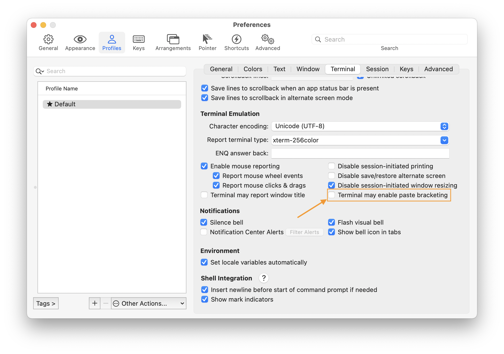 Fix oh-my-zsh & Term Copy / Paste Backslashes | it’s like awesome you know